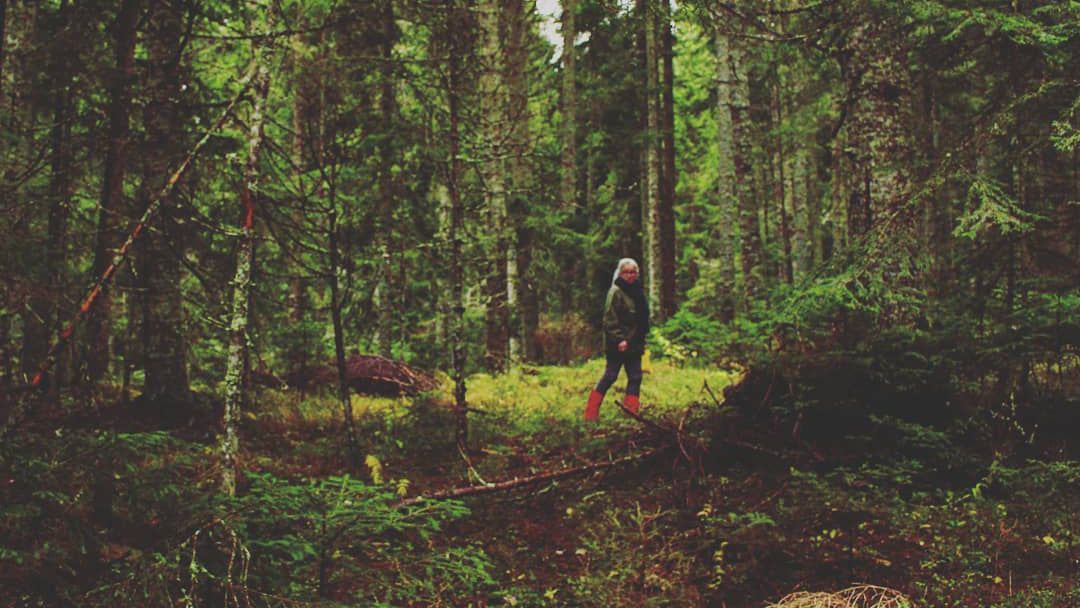 Forest Clean Up Day - Destination Sarajevo