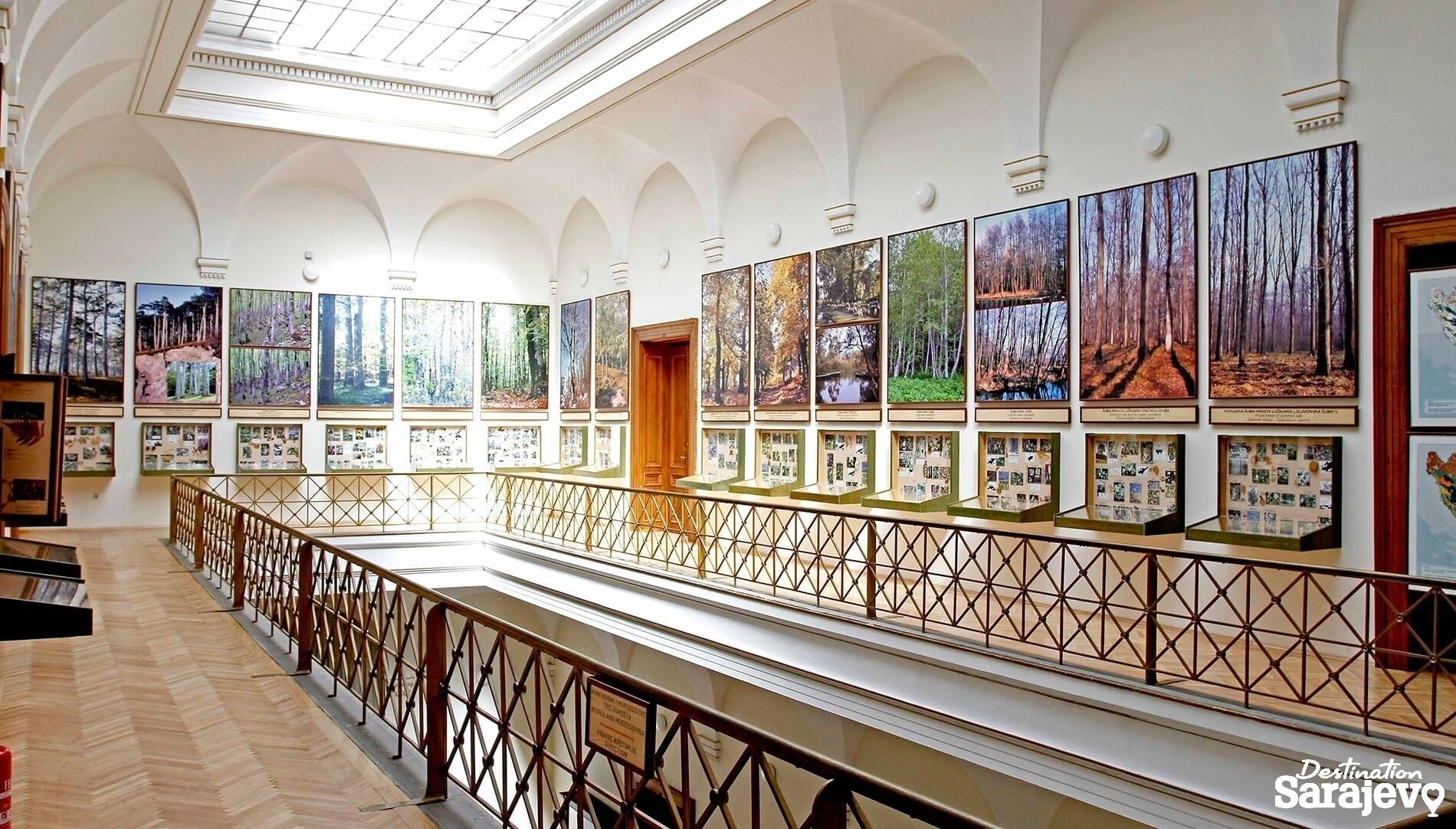 Šume Bosne i Hercegovine - Destination Sarajevo