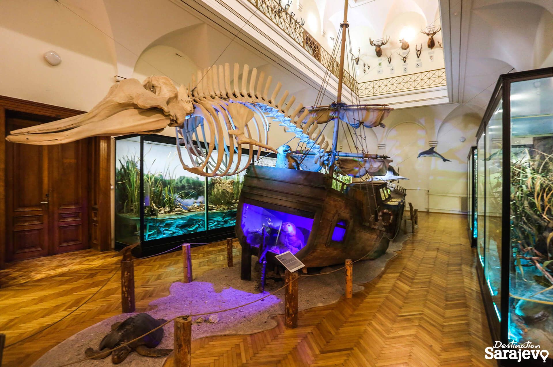 Zemaljski muzej BiH - Destination Sarajevo