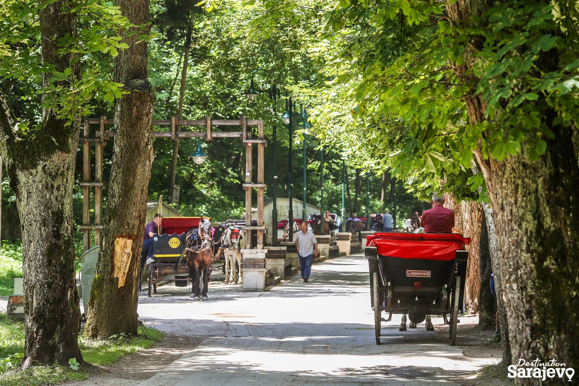 Velika aleja - Destination Sarajevo