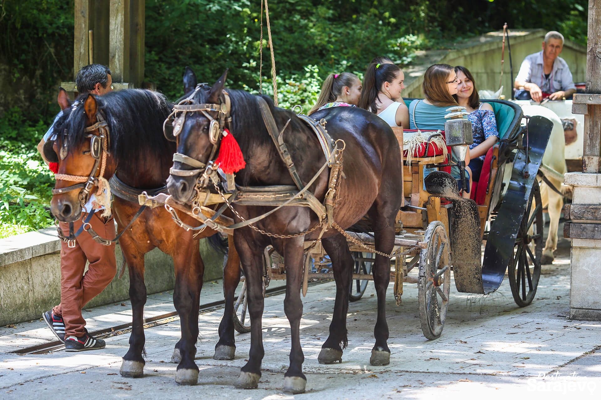 Velika aleja - Destination Sarajevo