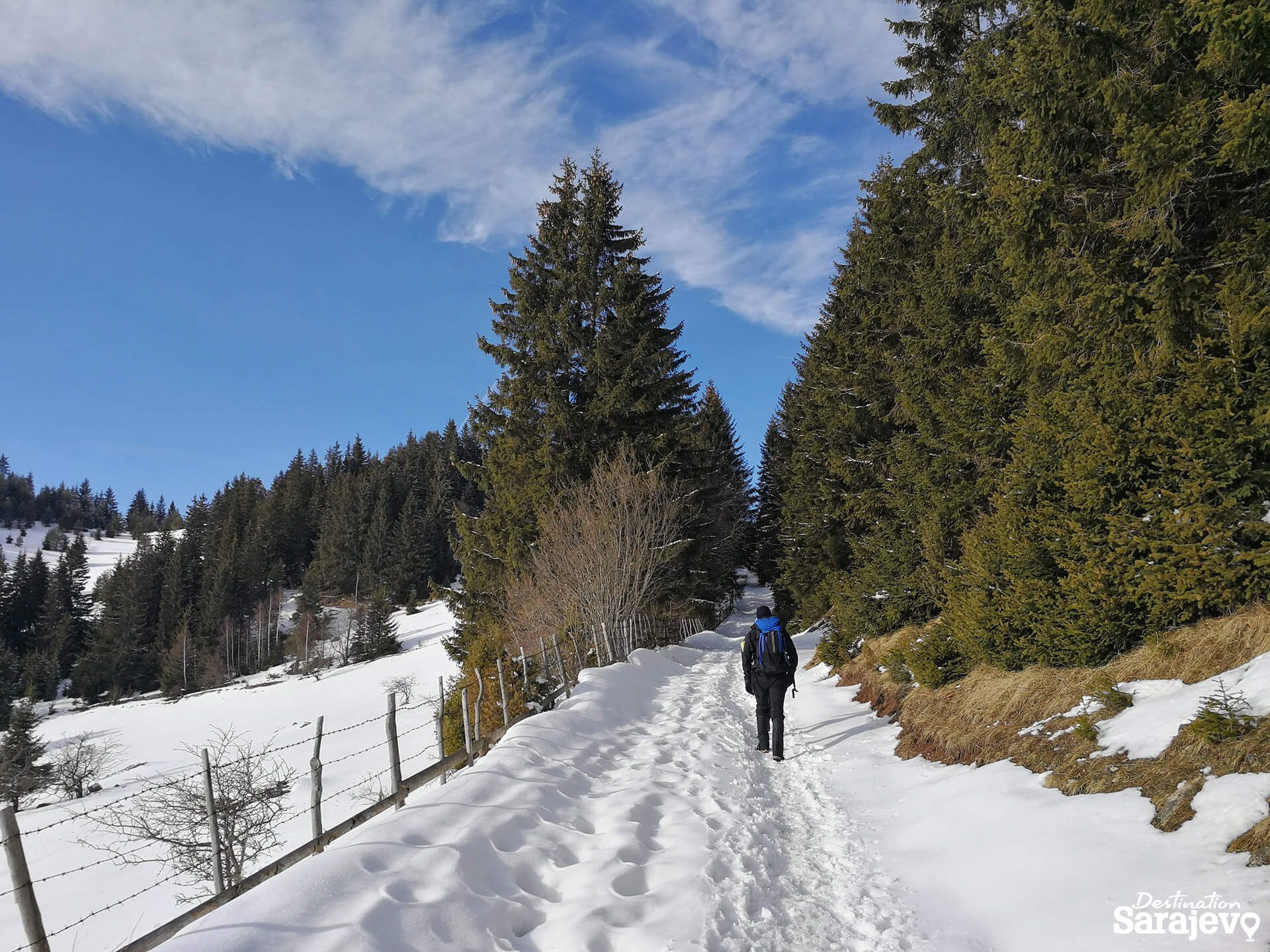 Bukovik - Destination Sarajevo