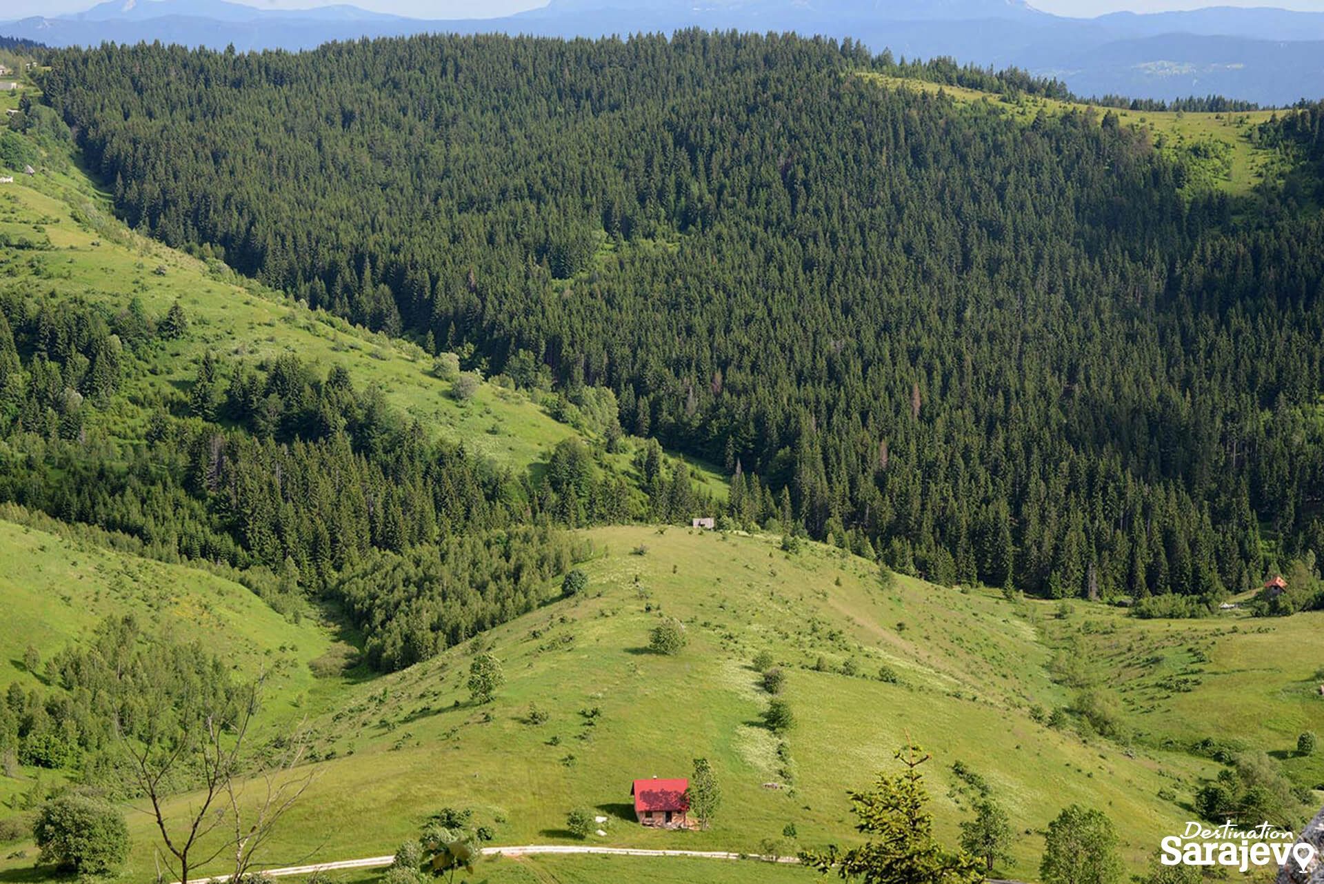 Bukovik - Destination Sarajevo