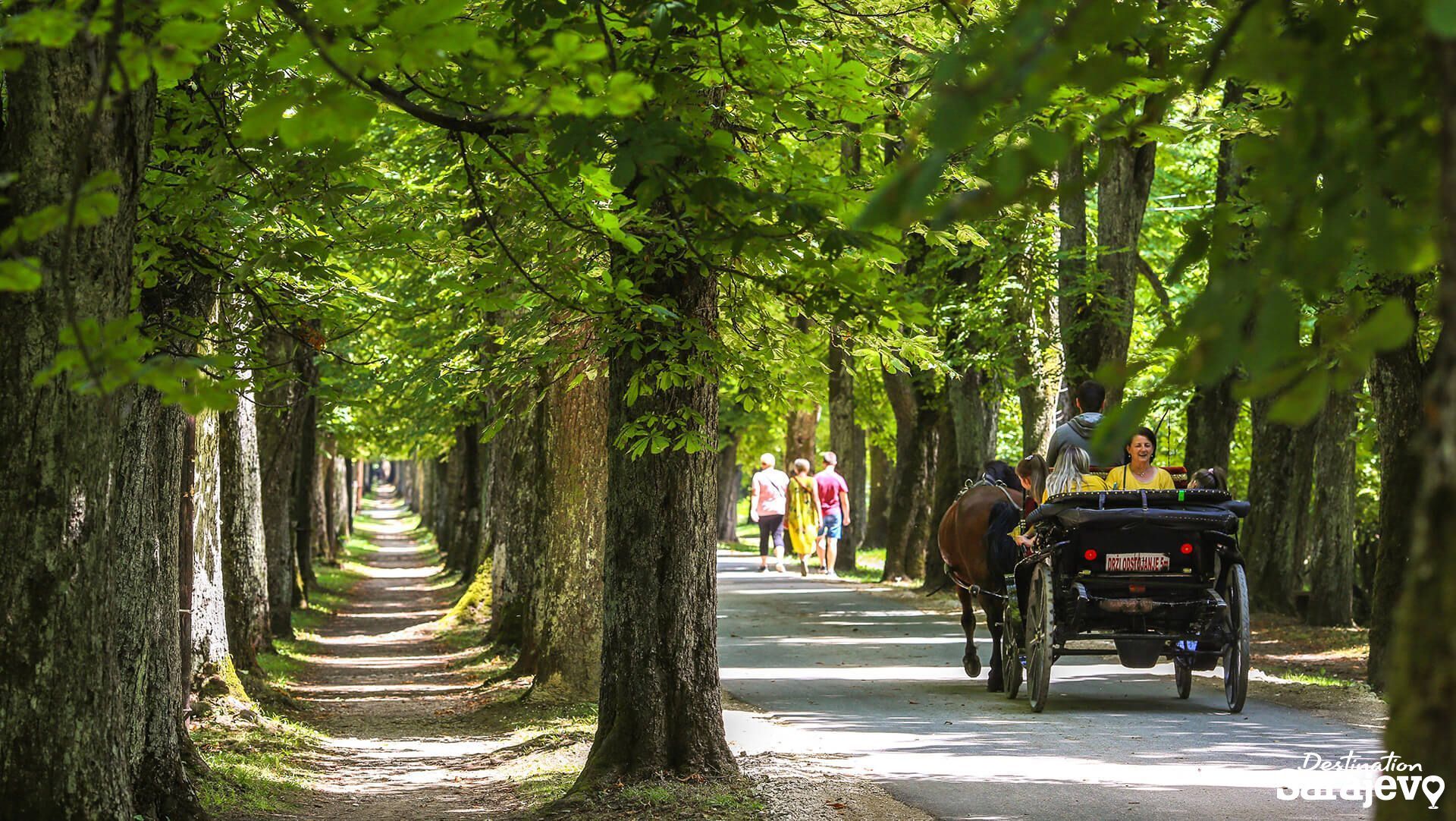 Velika aleja - Destination Sarajevo