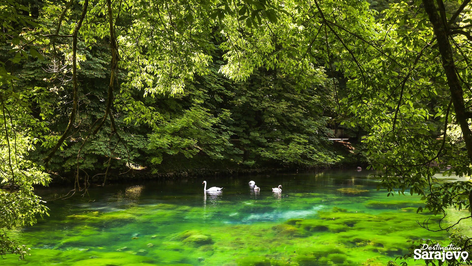 Ilidža and Vrelo Bosne - Destination Sarajevo