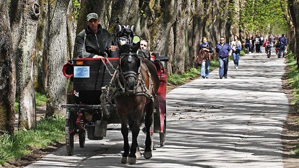 Provozajte se fijakerom kroz Veliku aleju do Vrela Bosne - Destination ...